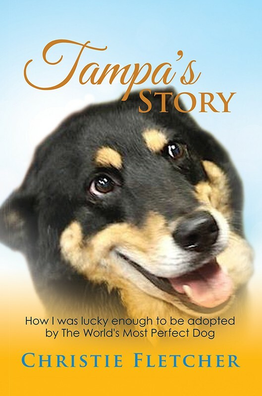 Tampa’s Story – Itasca Books
